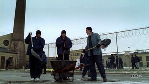 [드라마 속 한마디] Prison Break..A sitting duck - 부산일보